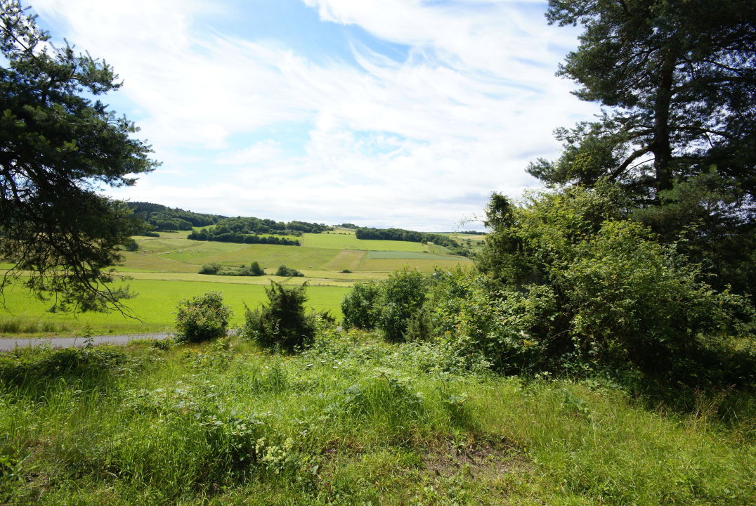 "Ausblick von Ferienpark Frankenau" Ferienpark Frankenau (Frankenau ...