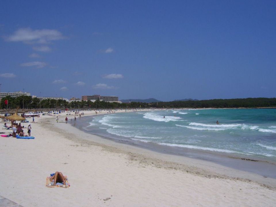 "Strand von Sa coma" Aparthotel Playa Dorada (S'Illot / L'Illot ...