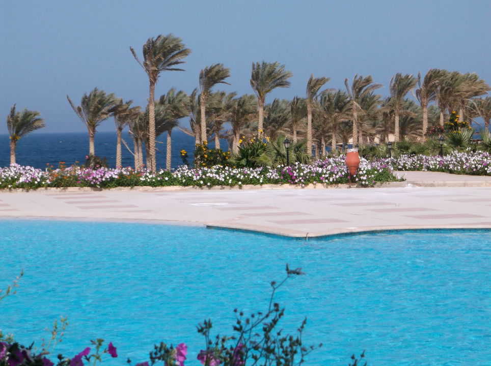 "Mega-Pool/Meer" Royal Brayka Resort (Marsa Alam) • HolidayCheck (Marsa ...