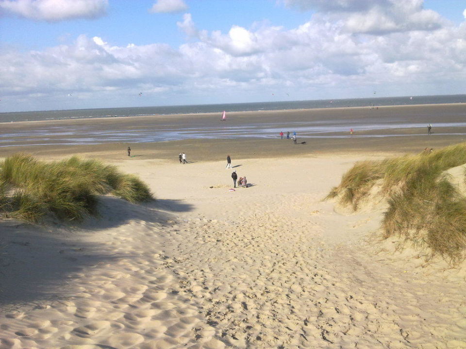 Bild "Bungalow" zu Center Parcs Port Zélande in Ouddorp