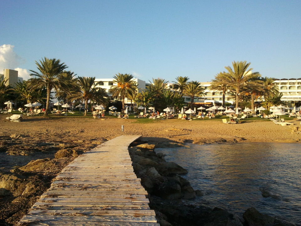 "Der Strand ist sehr gepflegt" Constantinou Bros Athena Beach Hotel ...