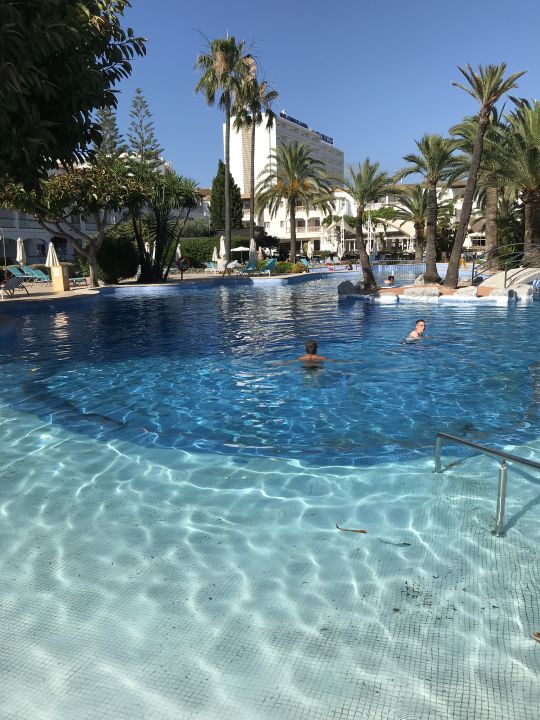 "Pool" Alcudia Garden Aparthotel (Alcudia) • HolidayCheck (Mallorca ...