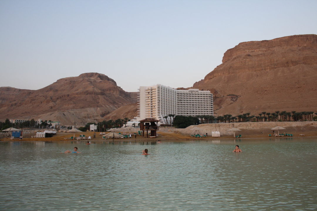 "Außenansicht" David Dead Sea Resort & Spa (Ein Bokek) • HolidayCheck ...