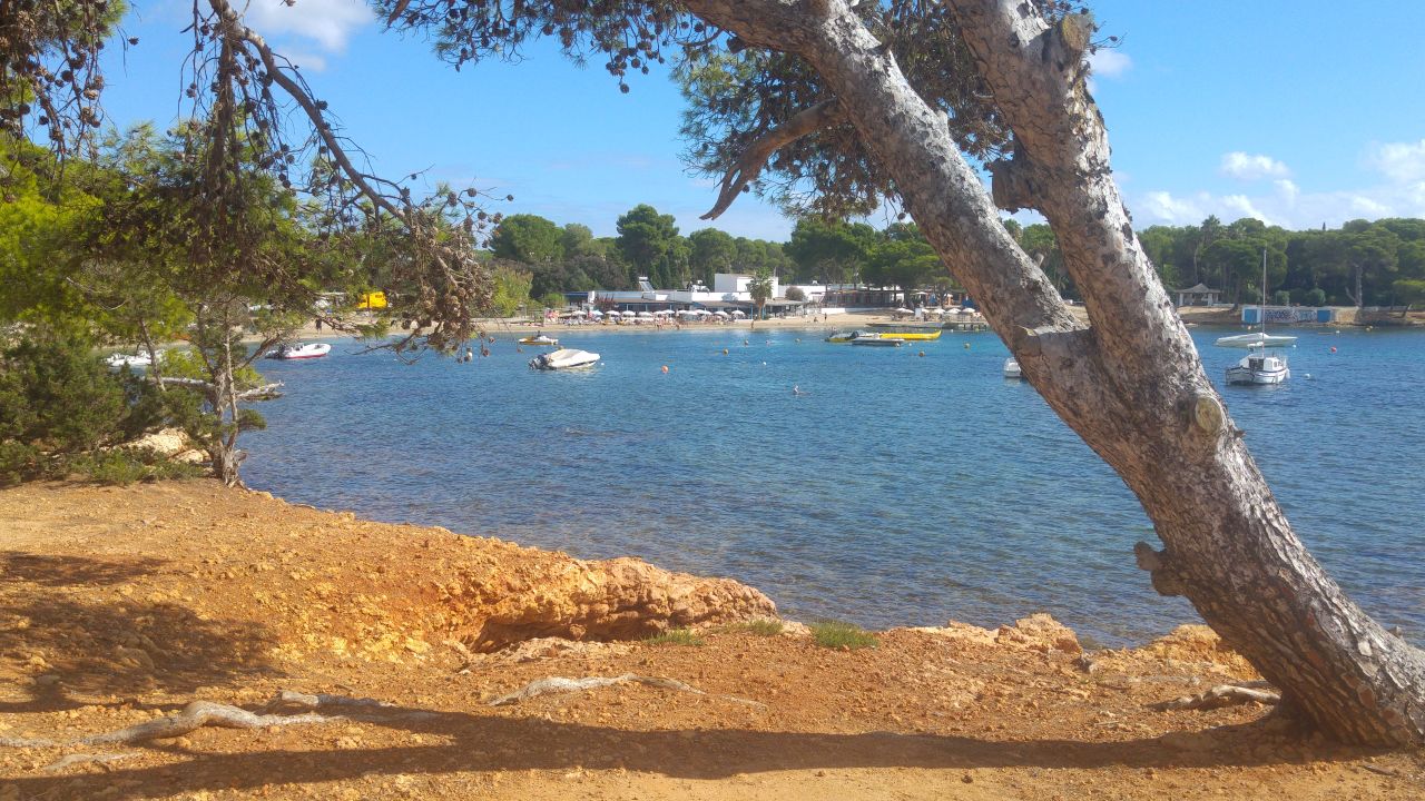 "Strand" TUI MAGIC LIFE Cala Pada (Es Canar) • HolidayCheck (Ibiza ...