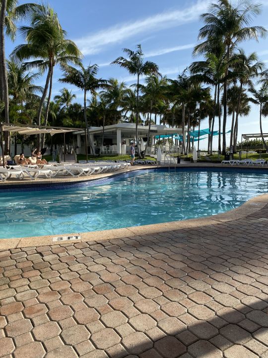 "Pool" Hotel Riu Plaza Miami Beach (Miami Beach) • HolidayCheck ...