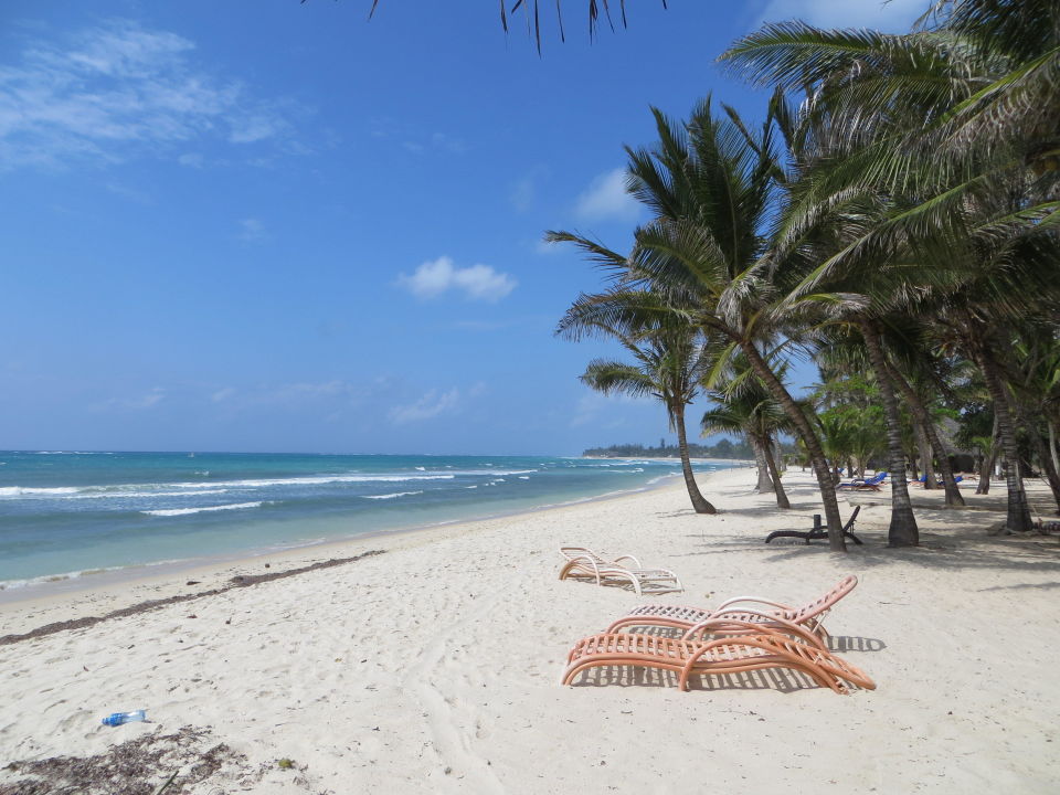 "Strand" Resort Amani Tiwi Beach (Tiwi Beach) • HolidayCheck (Provinz ...