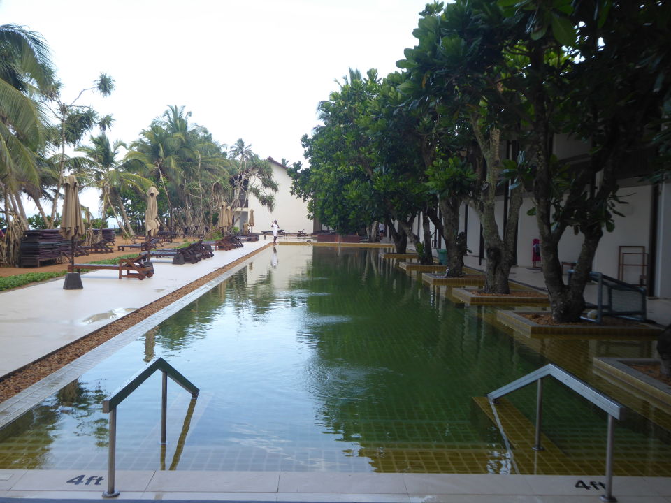 "Pool" Pandanus Beach Resort & Spa (Induruwa) • HolidayCheck (Sri Lanka ...