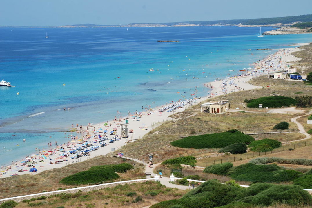 "Strand Son Bou" Royal Son Bou Family Club (Son Bou) • HolidayCheck ...