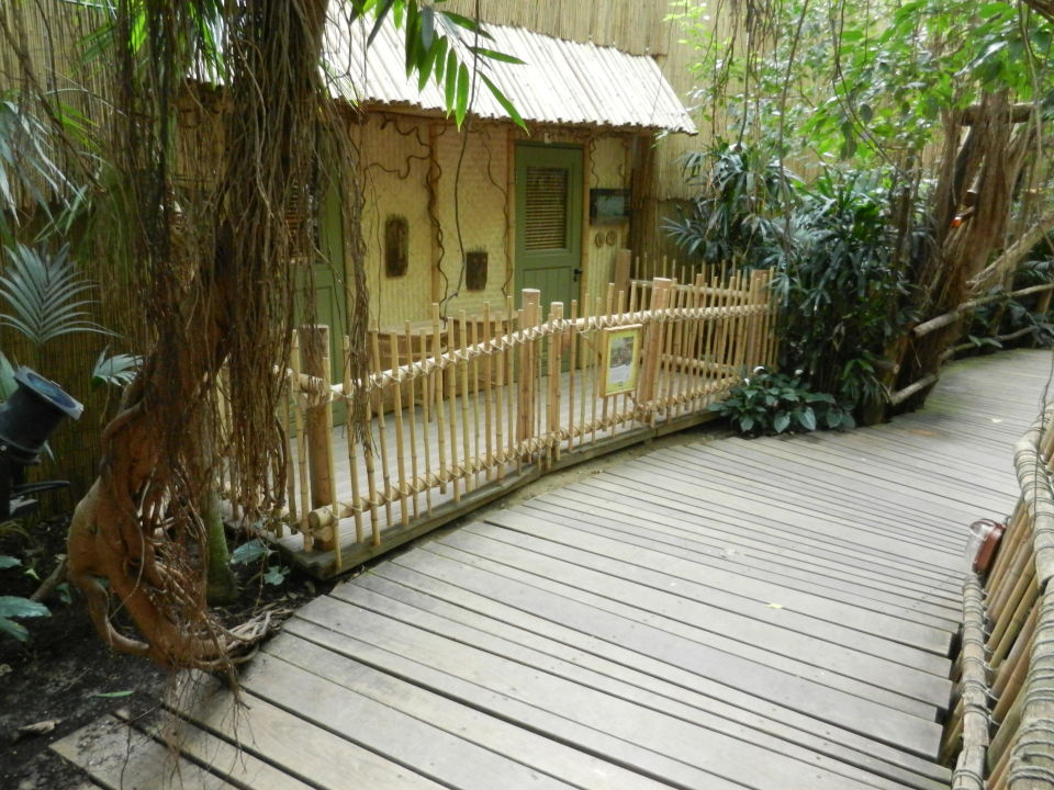 "2 Personen Jungle Cabana im Jungle Dome" Center Parcs Het Heijderbos ...