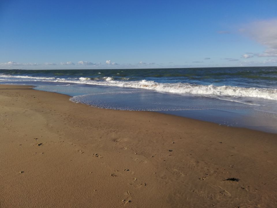 "Strand" Center Parcs Port Zélande (Ouddorp) • HolidayCheck (Südholland ...