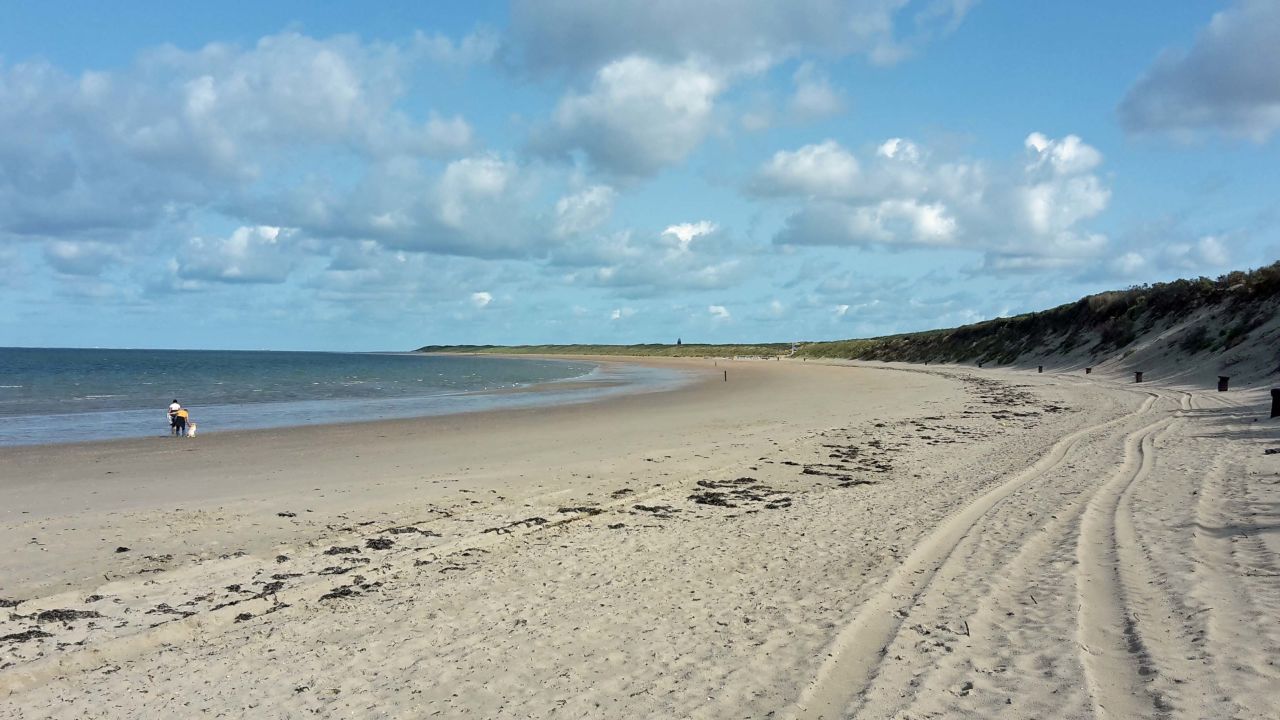 "Strand" Center Parcs Port Zélande (Ouddorp) • HolidayCheck (Südholland ...