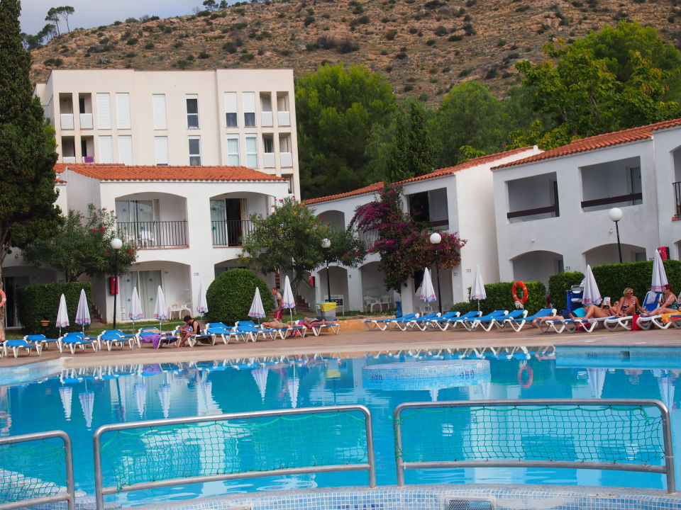 "Pool 1" FERGUS Club Europa (Peguera) • HolidayCheck (Mallorca | Spanien)