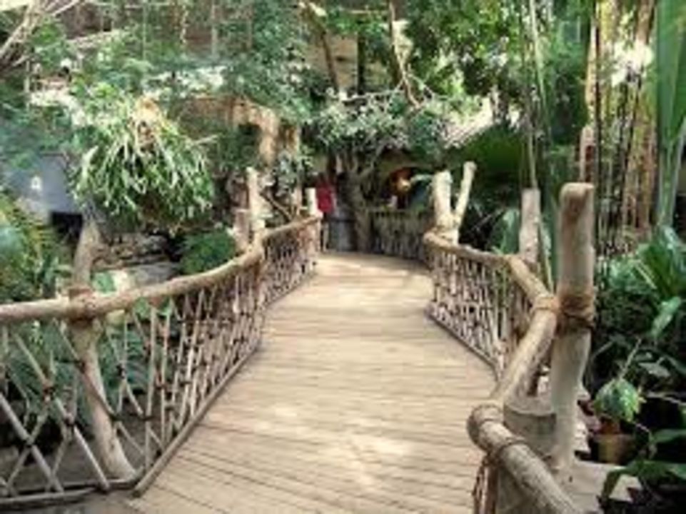 "Außenansicht" Center Parcs Erperheide (Peer) • HolidayCheck (Flandern ...