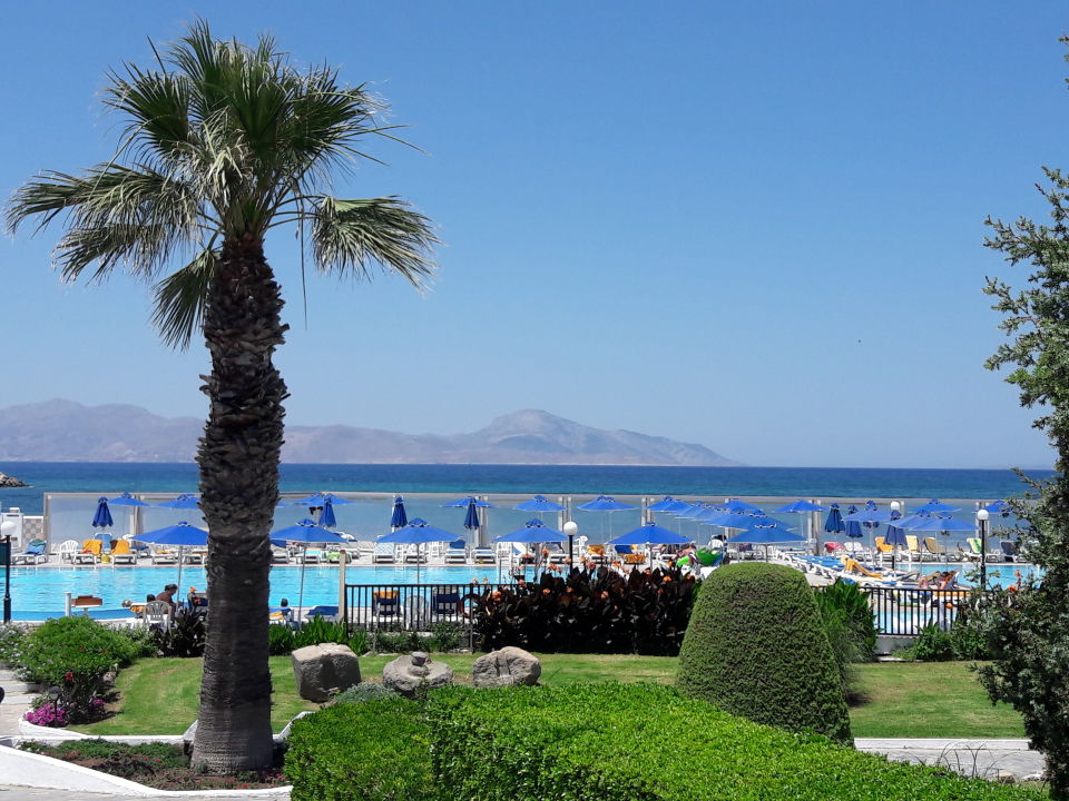 "Ausblick" Mastichari Bay Hotel (Mastichari) • HolidayCheck (Kos ...