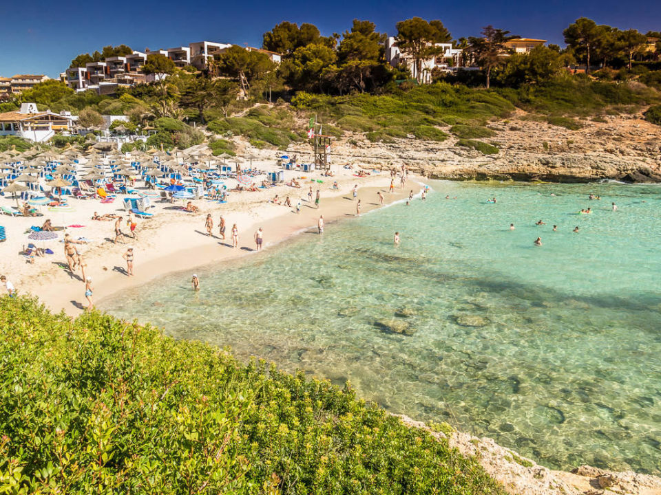 Bild "Strand von oben" zu Insotel Cala Mandia Resort & Spa in Cala Mandia