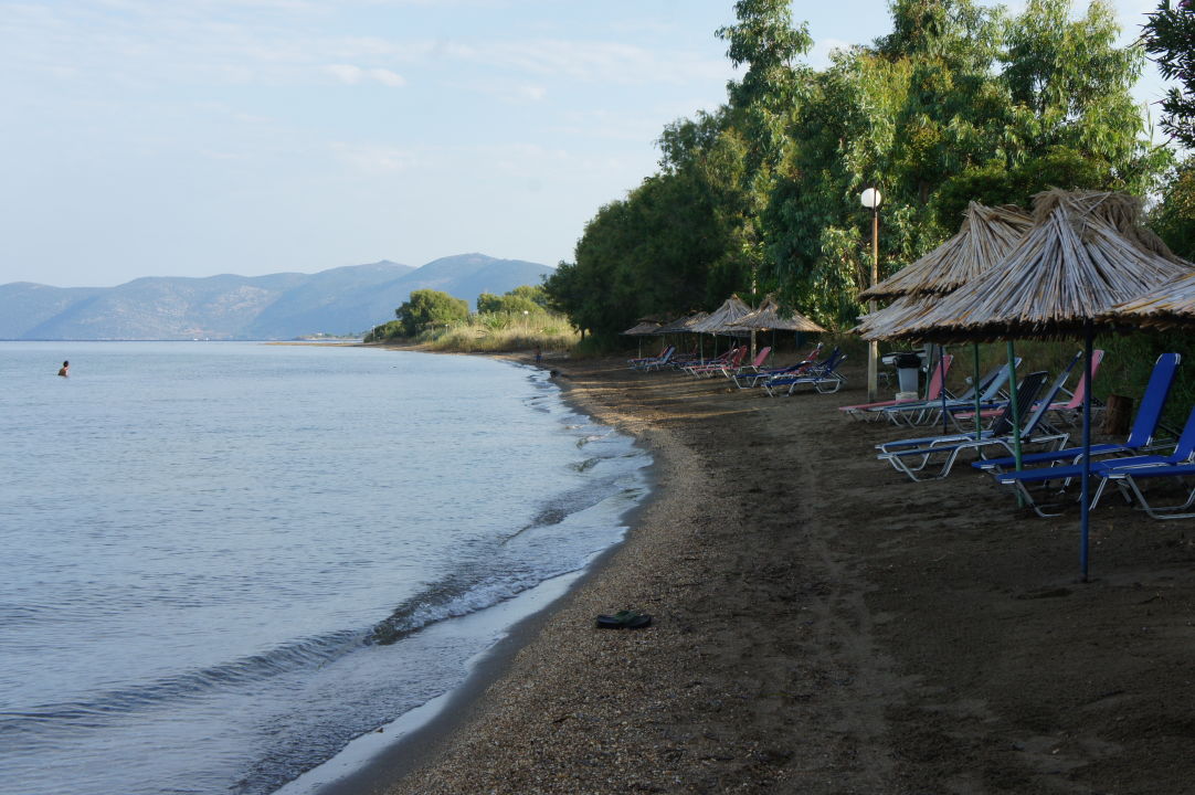 "Strand" Hotel Venus Beach (Nea Stira) • HolidayCheck (Evia / Euböa ...
