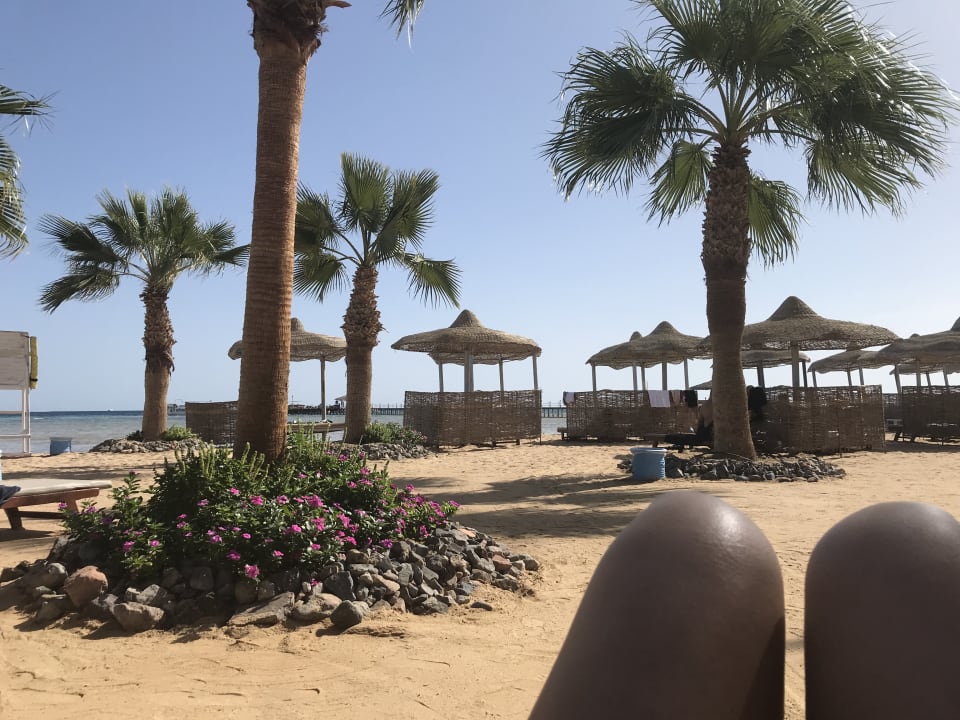 "Ausblick von einer der Vi..." Amwaj Beach Club Abu Soma Resort (Soma ...