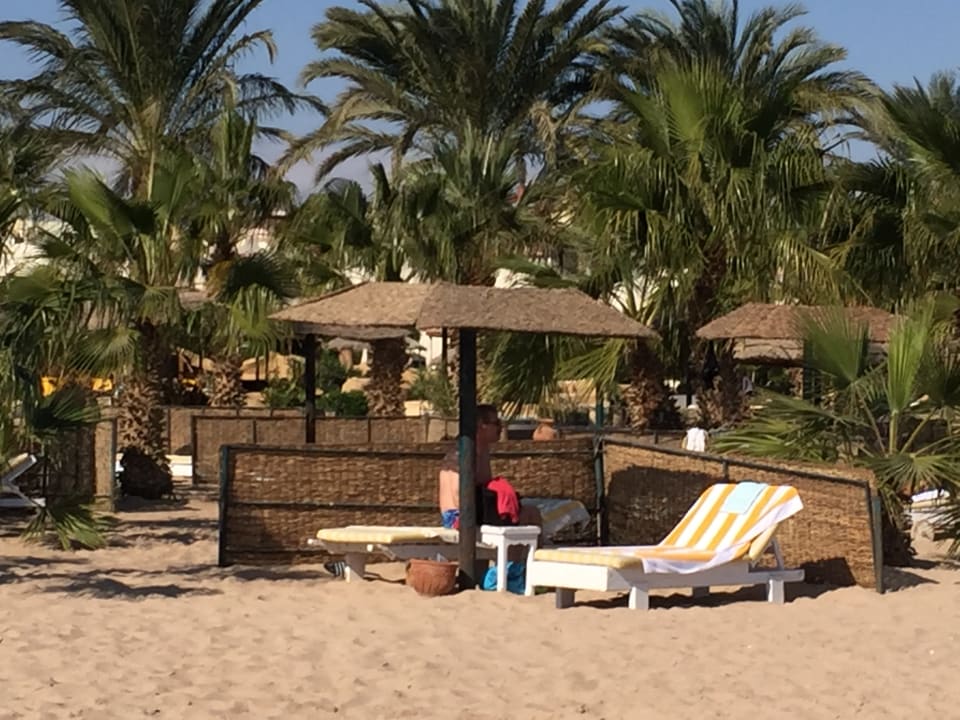 "Strand" Lotus Bay Beach Resort (Abu Soma) • HolidayCheck (Hurghada ...