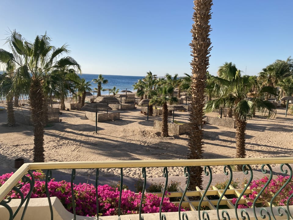 "Strand" Lotus Bay Beach Resort (Abu Soma) • HolidayCheck (Hurghada ...