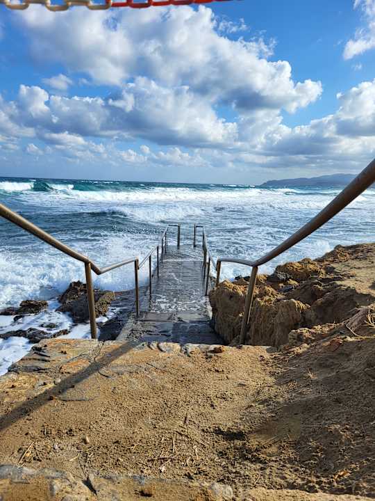 "Ausblick" Cactus Bay (Stalis) • HolidayCheck (Kreta | Griechenland)