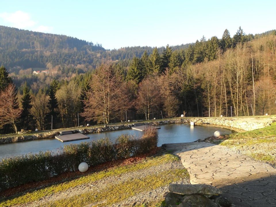 "Blick auf den Badeteich" Naturhotel Rebling (Bernried) • HolidayCheck ...