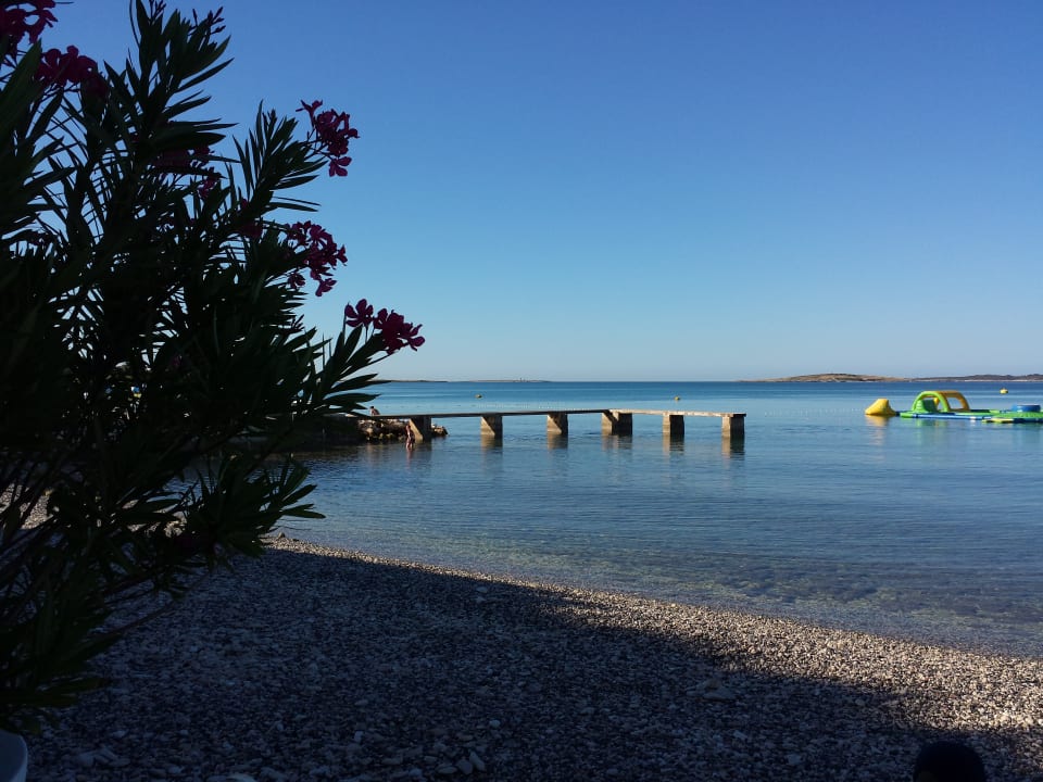 "Strand" Park Plaza Belvedere Medulin (Medulin) • HolidayCheck (Istrien ...