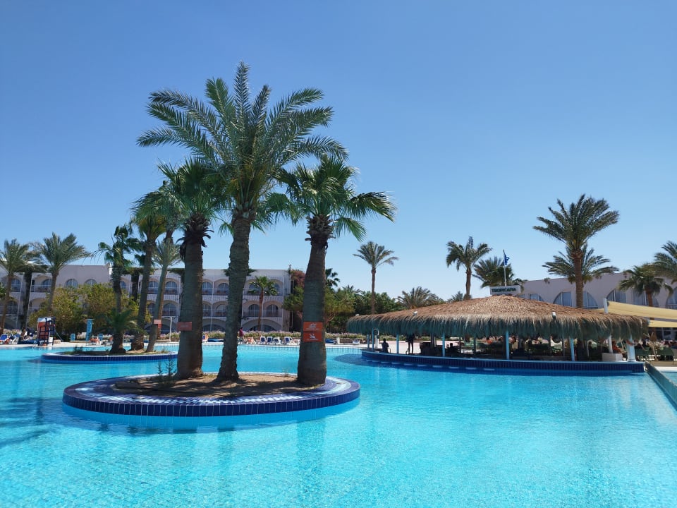"Pool" Desert Rose Resort (Hurghada) • HolidayCheck (Hurghada/Safaga ...