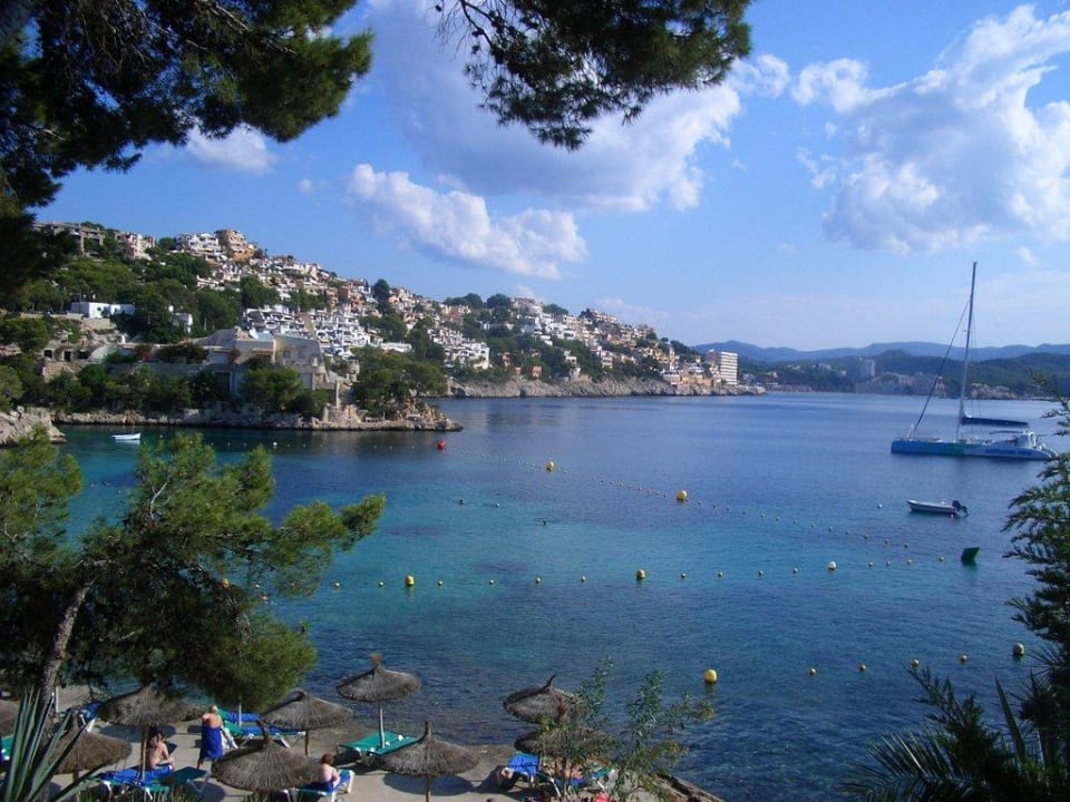 "Blick Richtung Peguera - ..." Hotel Cala Fornells (Calvia ...