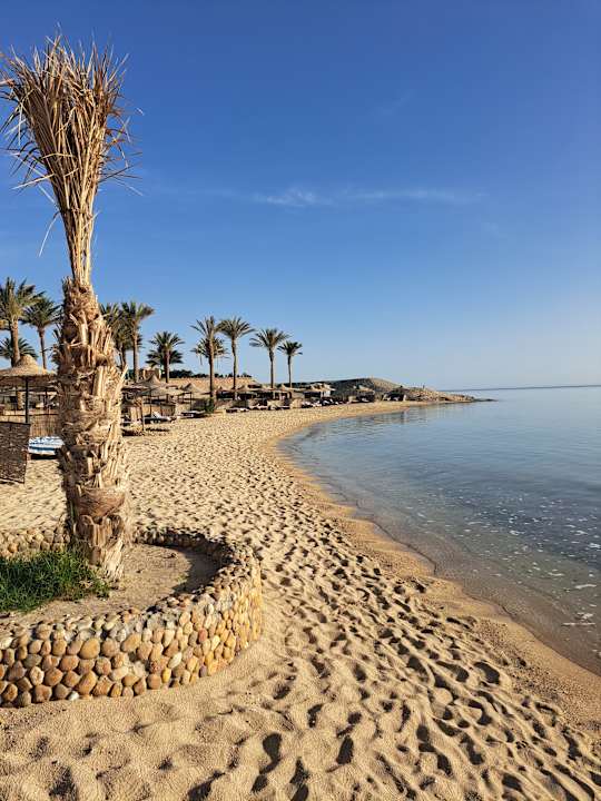 "Strand" Blend Elphistone Resort (Marsa Alam) • HolidayCheck (Marsa ...