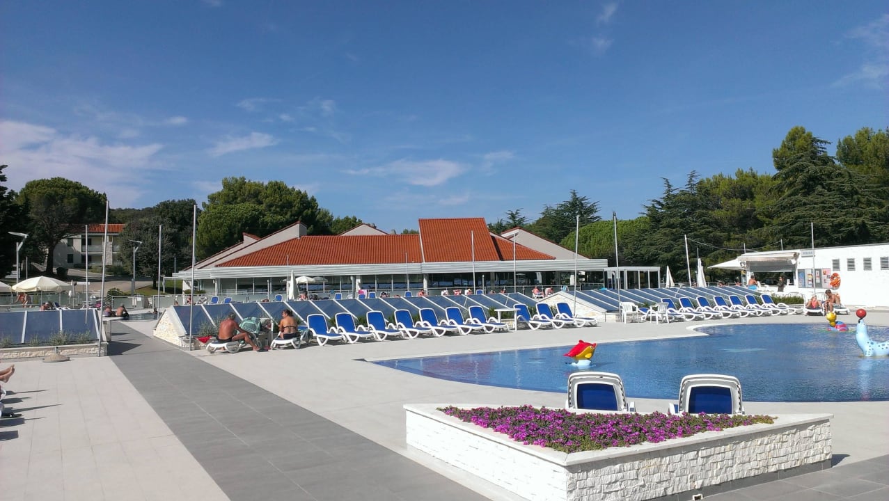 "Pool" Maistra Select Petalon Resort (Vrsar) • HolidayCheck (Istrien ...