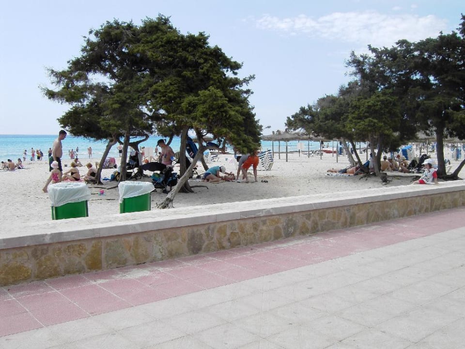 "Strand und Promenade von ..." Protur Safari Park Aparthotel (Sa Coma ...