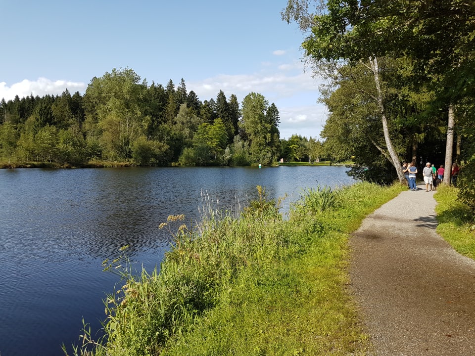 "Pool" Hotel Waldsee (Lindenberg im Allgäu) • HolidayCheck (Bayern ...