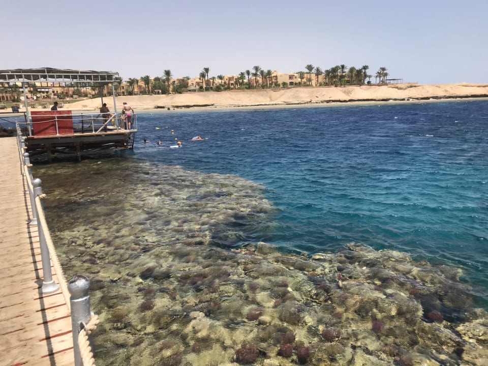 "Strand" Jaz Dar EL Madina (Marsa Alam) • HolidayCheck (Marsa Alam/El ...