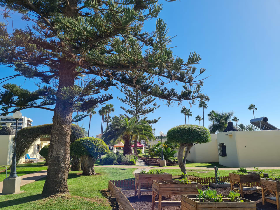 "Außenansicht" HD Bungalows Parque Cristobal Gran Canaria (Playa del ...