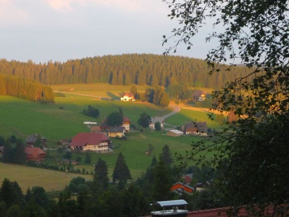 "Aussicht/Ausblick" Schwarzwaldhotel Schönwald (Schönwald im ...