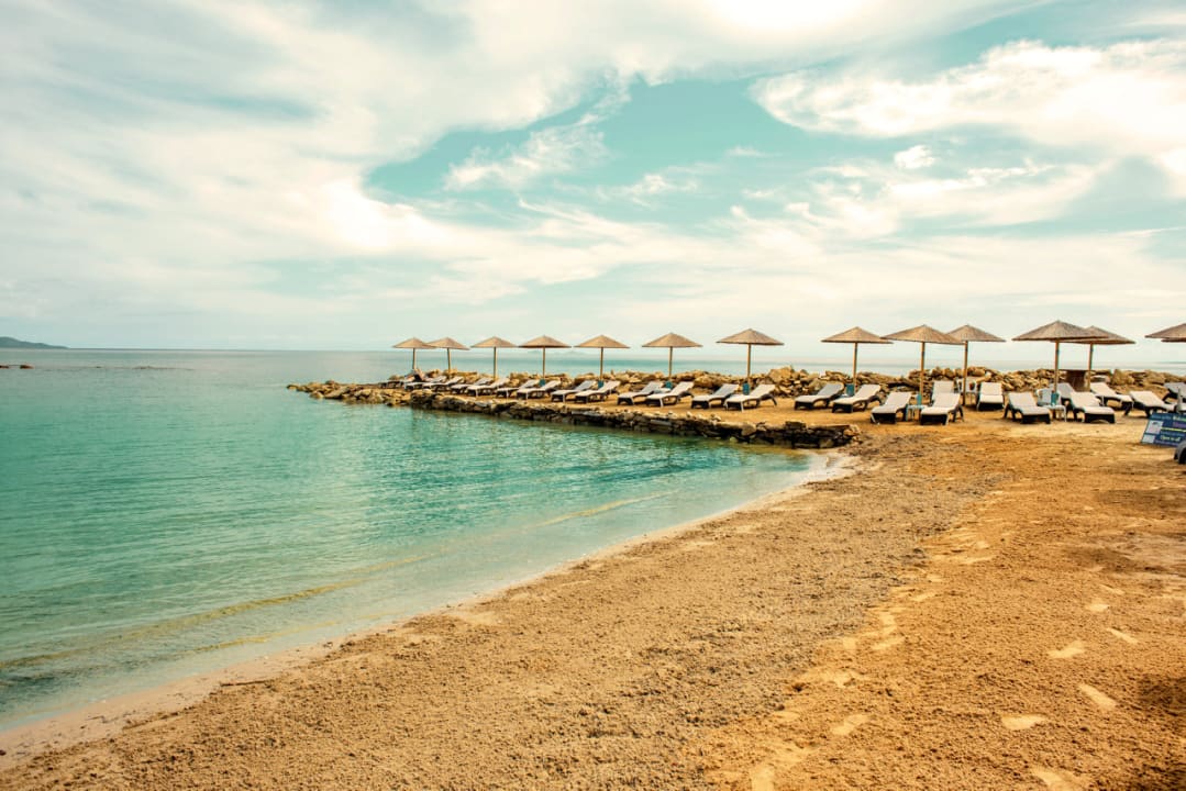 "Strand" Alexandra Beach Resort & Spa (Planos Tsilivi) • HolidayCheck ...