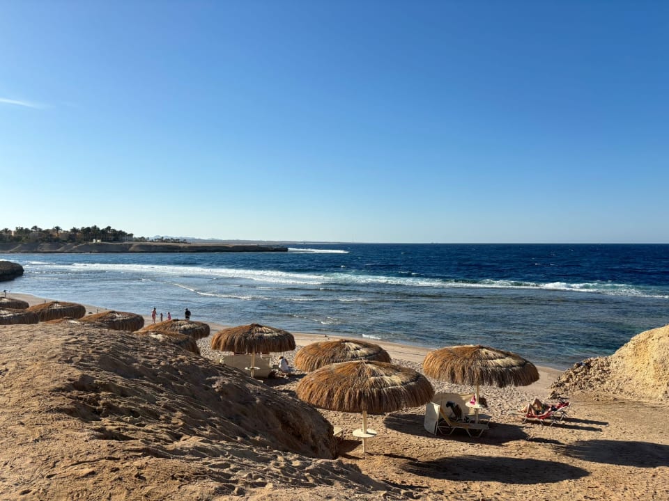 "Strand" Jaz Maraya Resort (Marsa Alam) • HolidayCheck (Marsa Alam/El ...