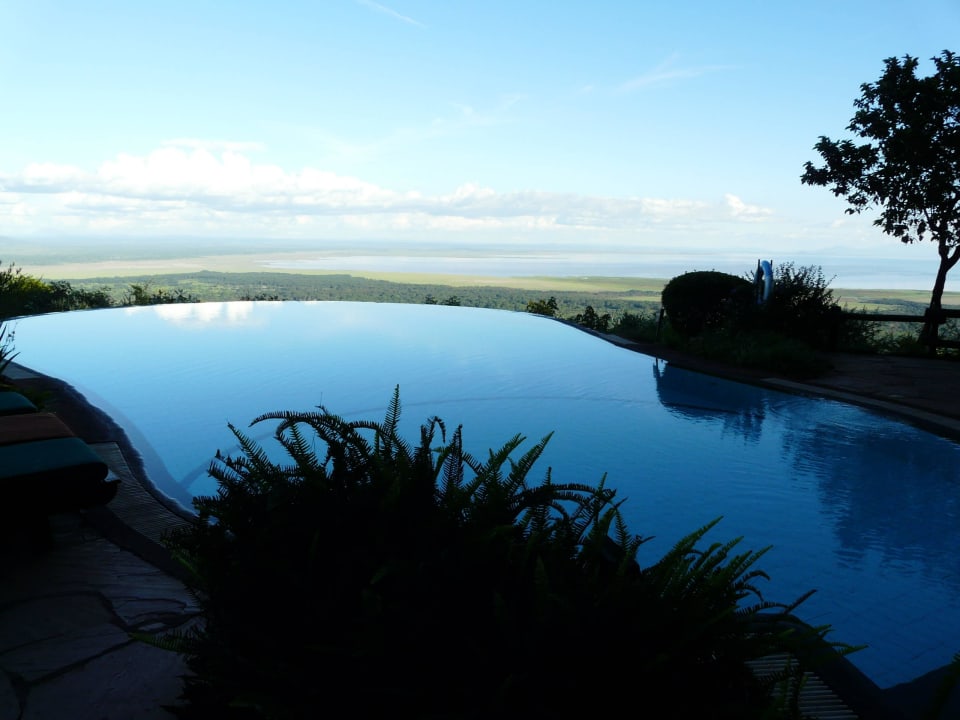 "Infinity pool met uitzich..." Hotel Lake Manyara Serena Safari Lodge ...