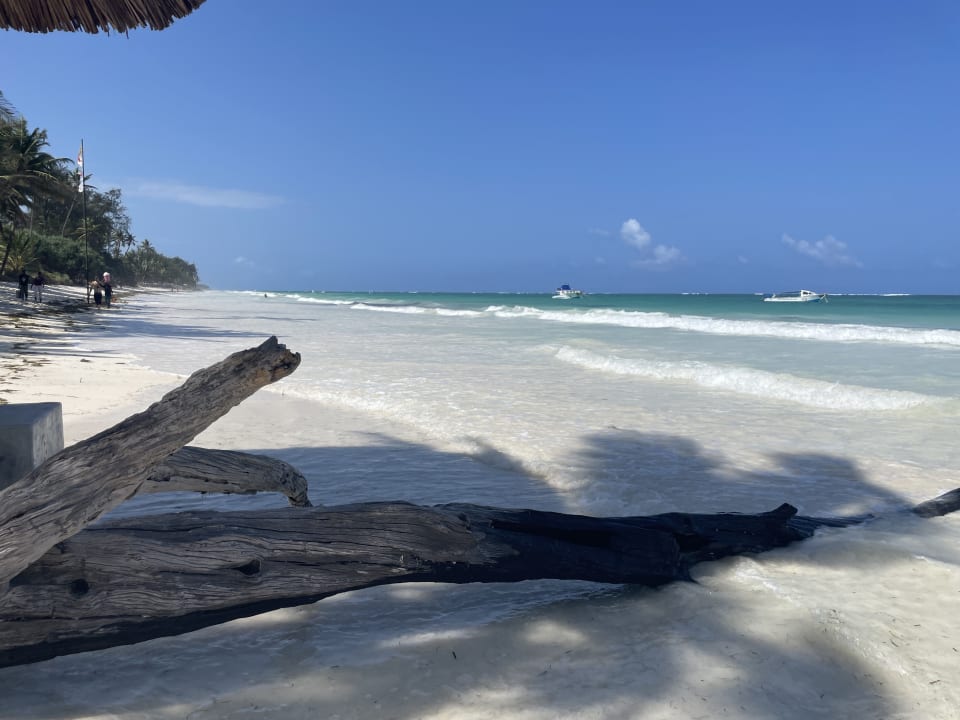 "Pool" Diani Sea Resort (Diani Beach) • HolidayCheck (Provinz Coast ...