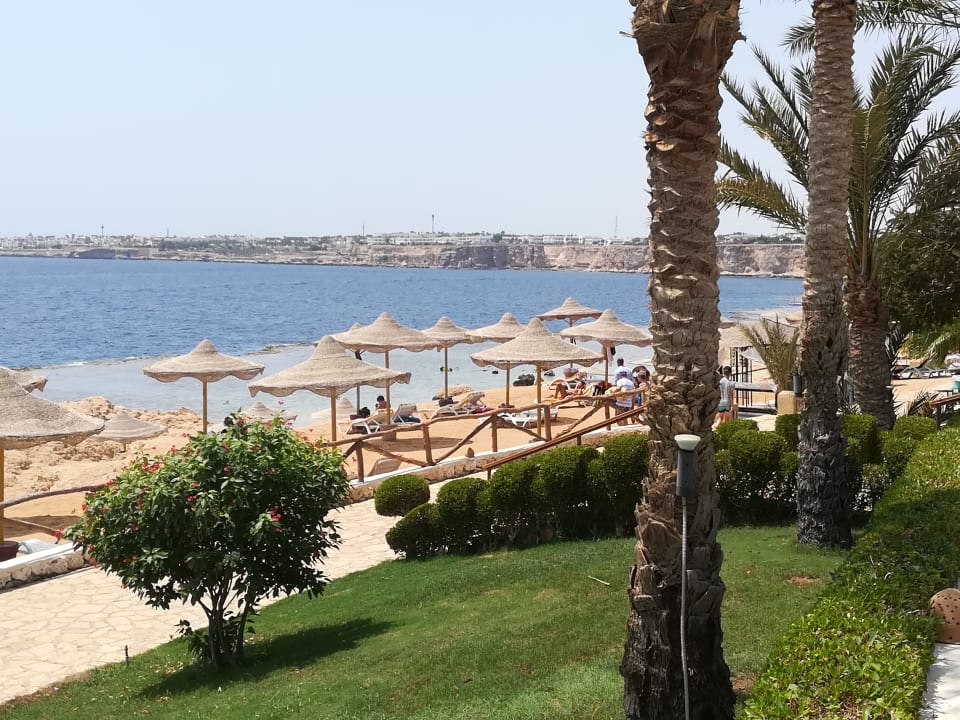 "Strand" Sharm Club Beach Resort (Sharm el Sheikh) • HolidayCheck ...