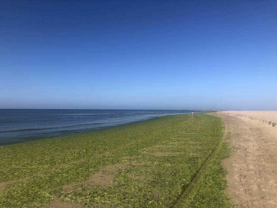 "Strand" Vila Galé Isla Canela (Ayamonte) • HolidayCheck (Costa de la ...