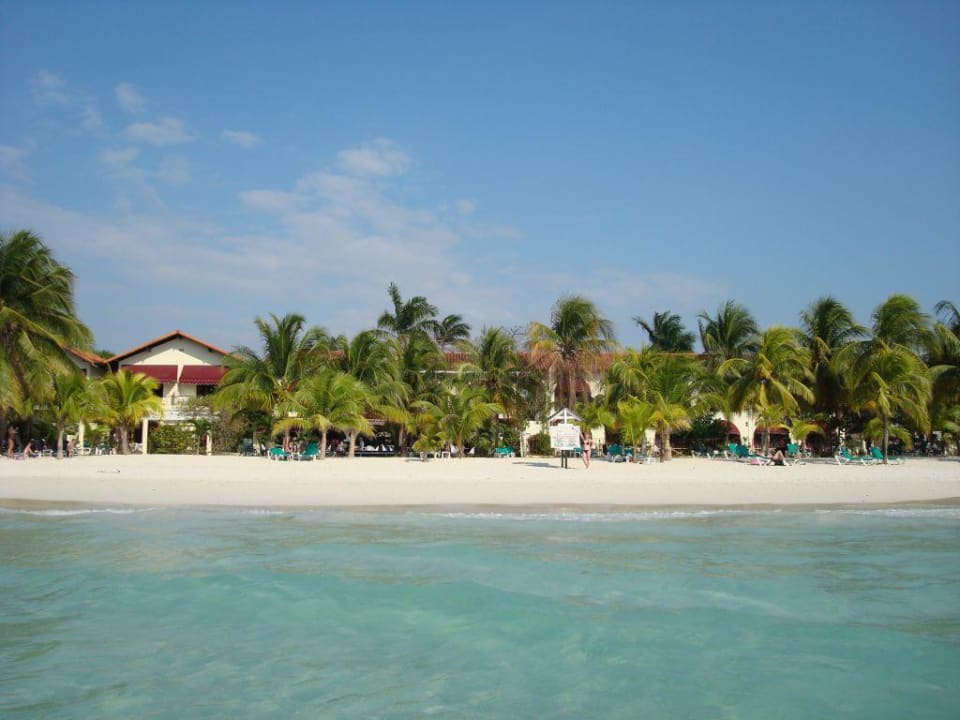 "Hotelstrand vom Meer aus" Charela Inn Hotel (Negril) • HolidayCheck ...