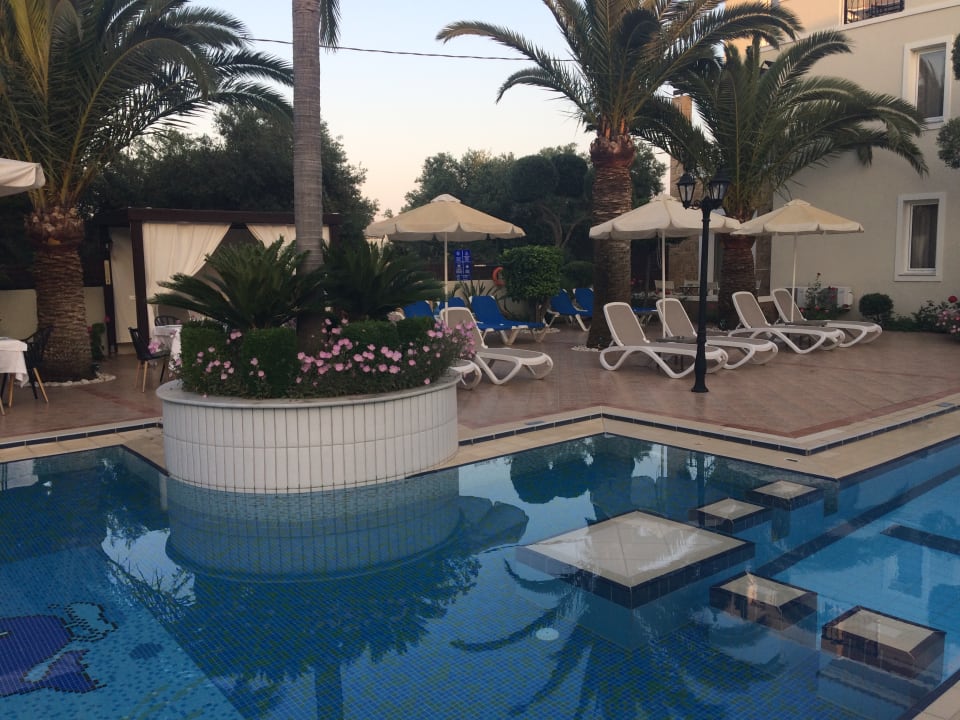 "Pool" Hotel Zeus Village (Daratsos) • HolidayCheck (Kreta | Griechenland)