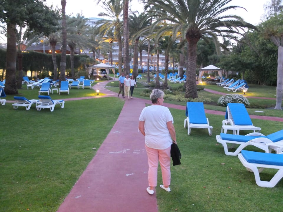"Garten mit Liegewiese" Bull Costa Canaria & Spa - Adults only (San ...