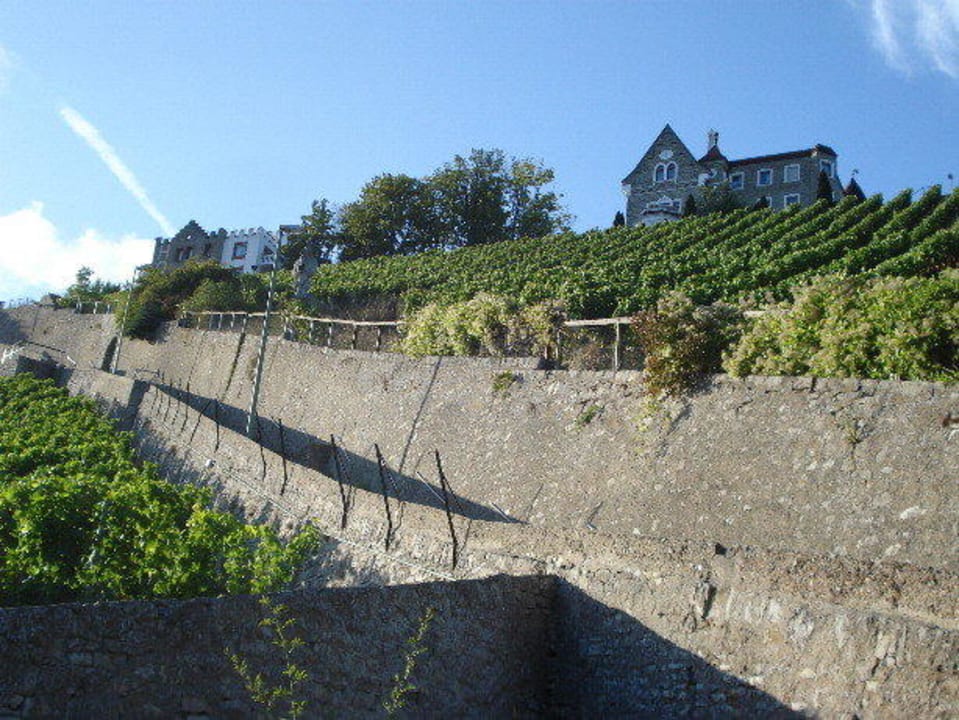 "Schloss Steinburg inmitte..." Schlosshotel Steinburg (Würzburg ...
