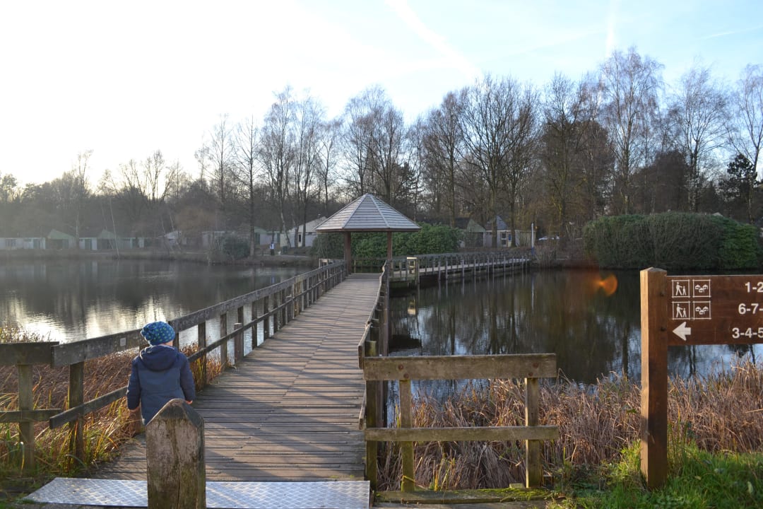 "See" Center Parcs Limburgse Peel (America) • HolidayCheck (Limburg ...