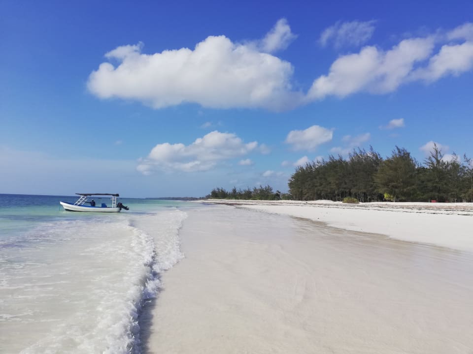 "Strand" Hotel Pinewood Beach Resort & Spa (Galu Beach) • HolidayCheck ...