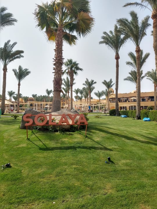 "Zimmer" Jaz Solaya (Marsa Alam) • HolidayCheck (Marsa Alam/El Quseir ...