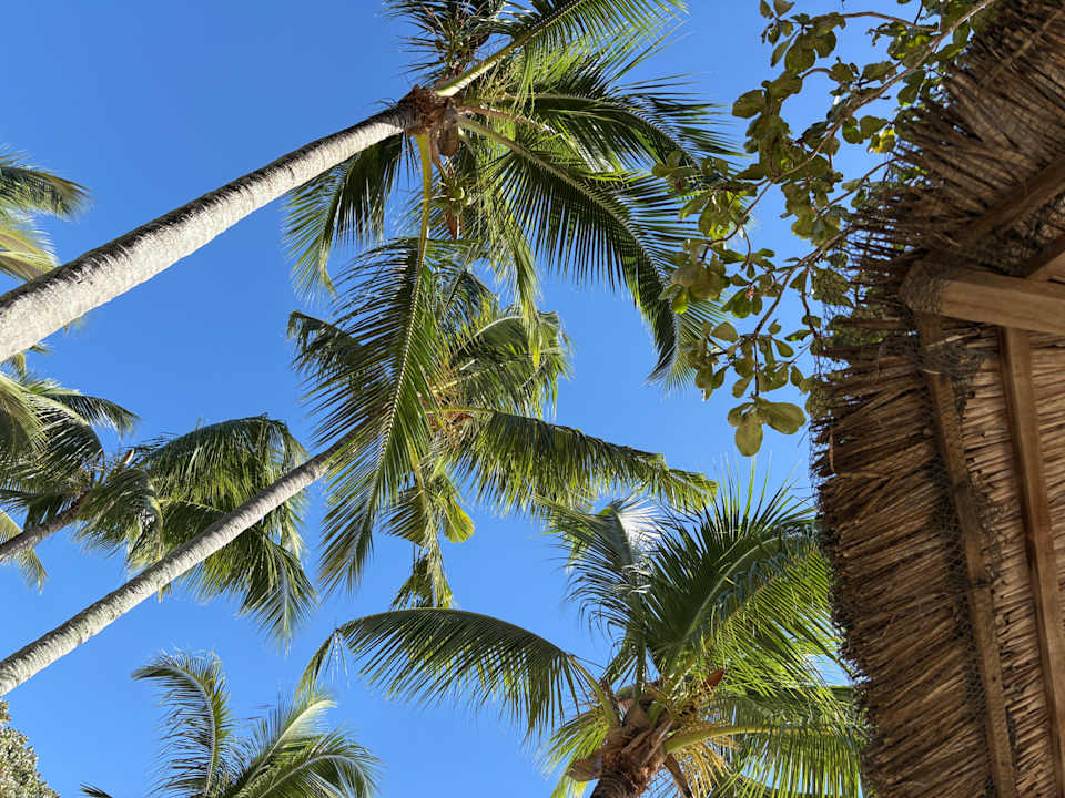 "Strand" Trou aux Biches Beachcomber Golf Resort & Spa (Trou aux Biches ...