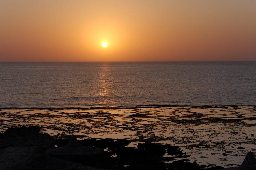 "Früh morgens am Riff" Sentido Akassia Beach (El Quseir) • HolidayCheck ...
